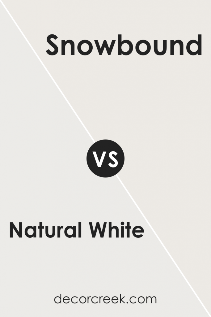Natural White SW 9542 Paint Color by Sherwin Williams - DecorCreek