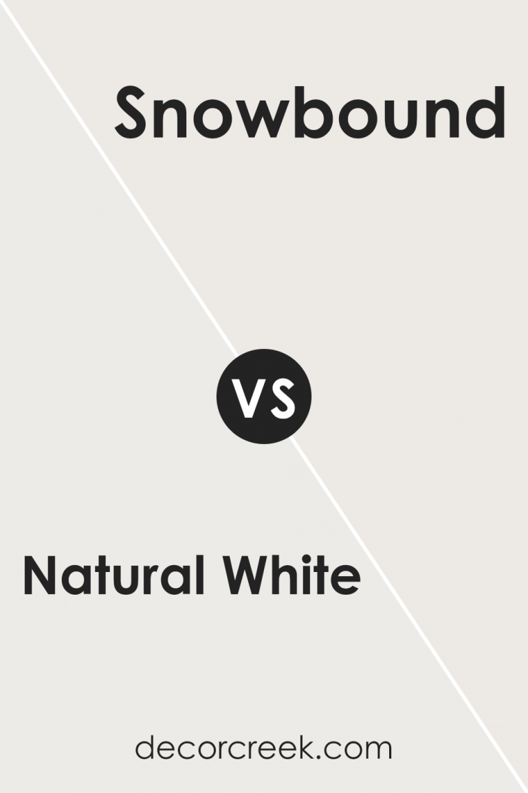 Natural White SW 9542 Paint Color by Sherwin Williams - DecorCreek