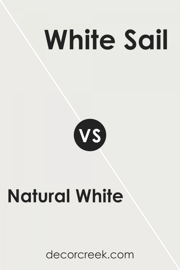 Natural White SW 9542 Paint Color by Sherwin Williams - DecorCreek