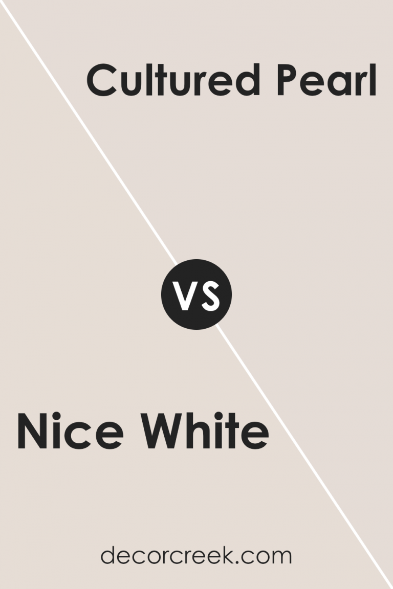 Nice White SW 6063 Paint Color by Sherwin Williams - DecorCreek
