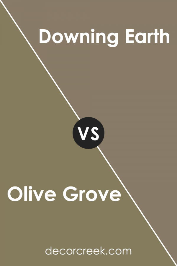Olive Grove SW 7734 Paint Color by Sherwin Williams - DecorCreek