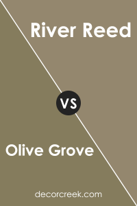 Olive Grove SW 7734 Paint Color by Sherwin Williams - DecorCreek