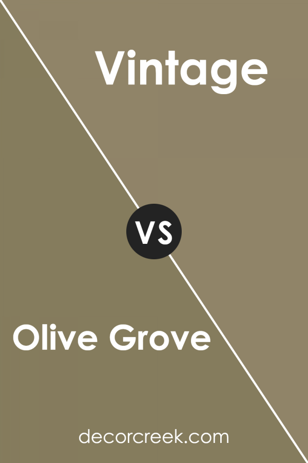 Olive Grove SW 7734 Paint Color by Sherwin Williams - DecorCreek