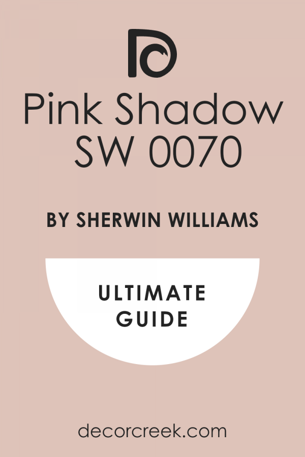 Pink Shadow SW 0070 Paint Color by Sherwin Williams - DecorCreek