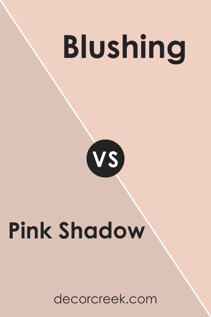 Pink Shadow SW 0070 Paint Color by Sherwin Williams - DecorCreek