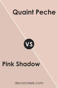 Pink Shadow SW 0070 Paint Color by Sherwin Williams - DecorCreek