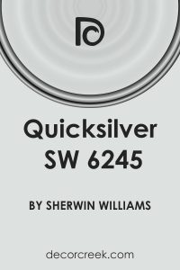 Quicksilver SW 6245 Paint Color by Sherwin Williams - DecorCreek