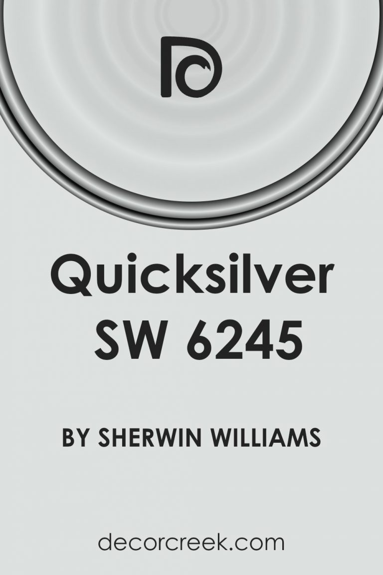 Quicksilver SW 6245 Paint Color by Sherwin Williams - DecorCreek