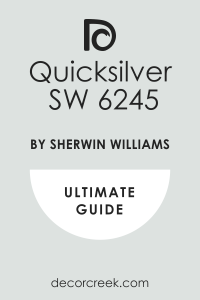 Quicksilver SW 6245 Paint Color by Sherwin Williams - DecorCreek