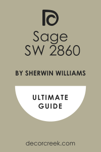 Sage SW 2860 Paint Color by Sherwin Williams - DecorCreek
