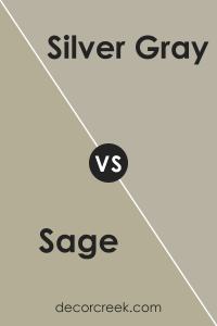 Sage SW 2860 Paint Color by Sherwin Williams - DecorCreek