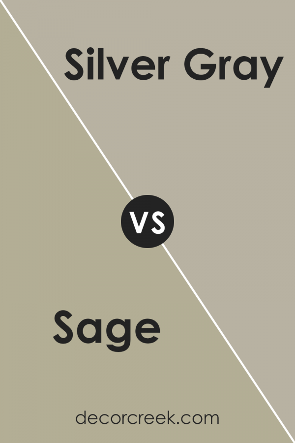 Sage SW 2860 Paint Color by Sherwin Williams - DecorCreek