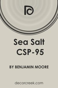 Sea Salt CSP-95 Paint Color by Benjamin Moore - DecorCreek