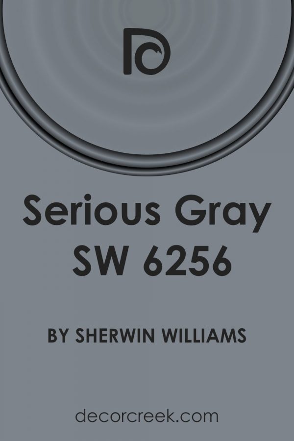 Serious Gray SW 6256 Paint Color by Sherwin Williams - DecorCreek