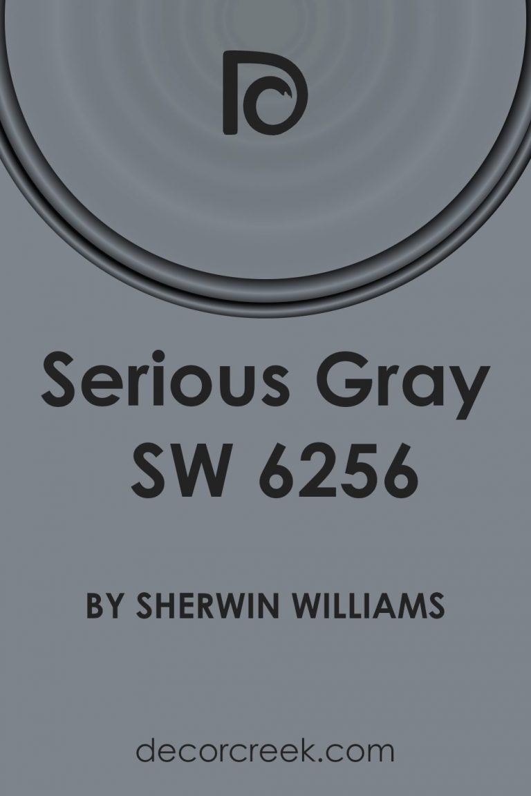 Serious Gray SW 6256 Paint Color by Sherwin Williams - DecorCreek