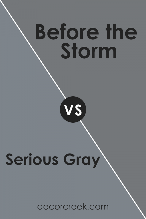 Serious Gray SW 6256 Paint Color by Sherwin Williams - DecorCreek