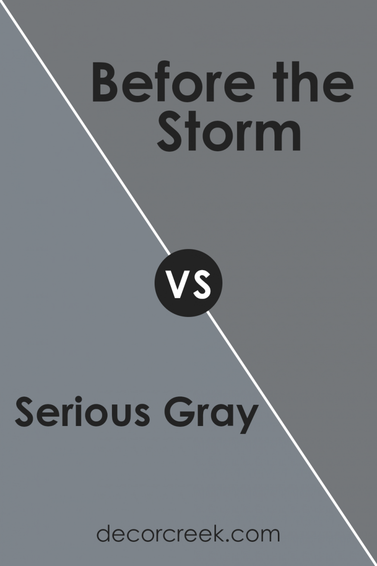 Serious Gray SW 6256 Paint Color by Sherwin Williams - DecorCreek