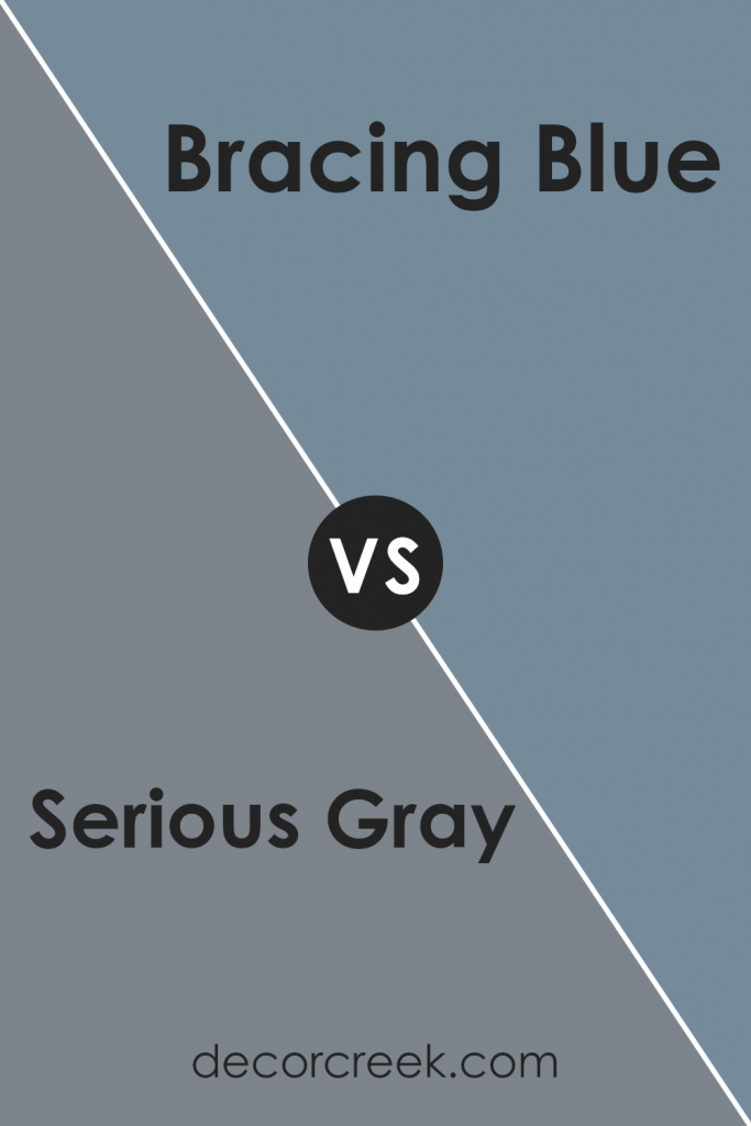 Serious Gray SW 6256 Paint Color by Sherwin Williams - DecorCreek