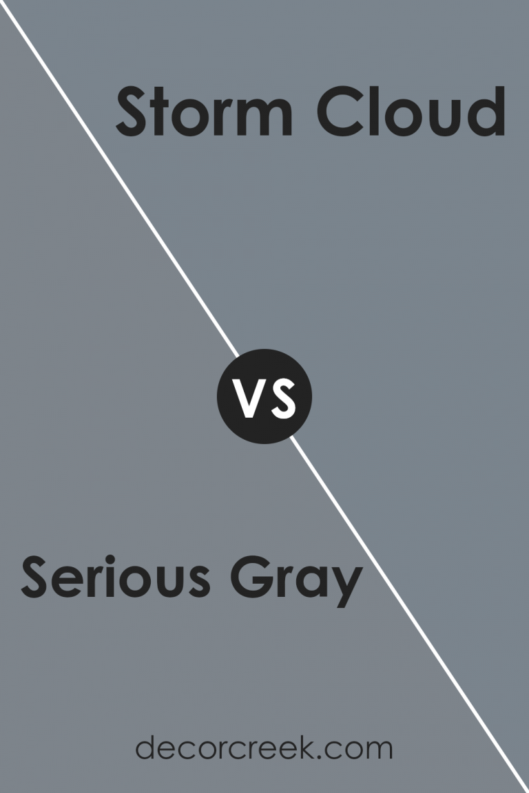 Serious Gray SW 6256 Paint Color by Sherwin Williams - DecorCreek