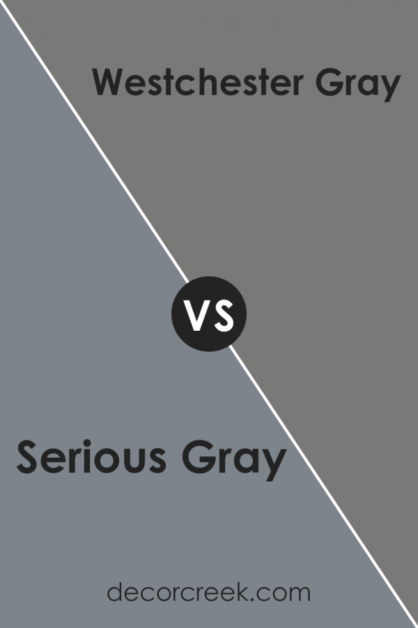 Serious Gray SW 6256 Paint Color by Sherwin Williams - DecorCreek