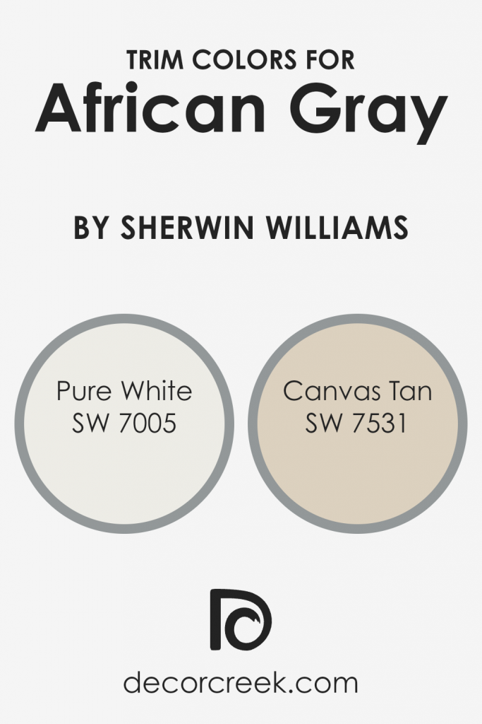 African Gray SW 9162 Paint Color by Sherwin Williams - DecorCreek