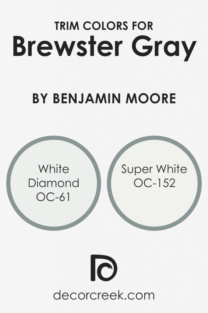 Brewster Gray HC-162 Paint Color by Benjamin Moore - DecorCreek