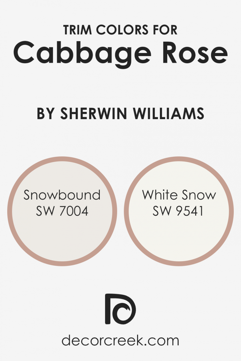Cabbage Rose SW 0003 Paint Color by Sherwin Williams - DecorCreek
