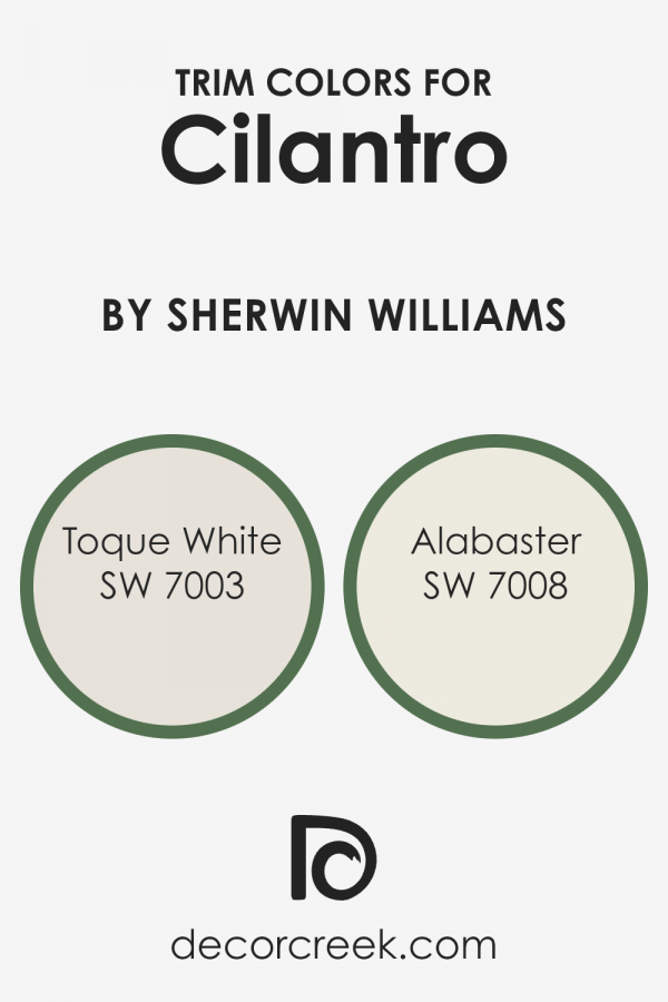 Cilantro SW 6453 Paint Color by Sherwin Williams - DecorCreek