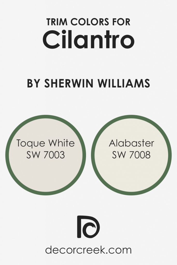 Cilantro SW 6453 Paint Color by Sherwin Williams - DecorCreek