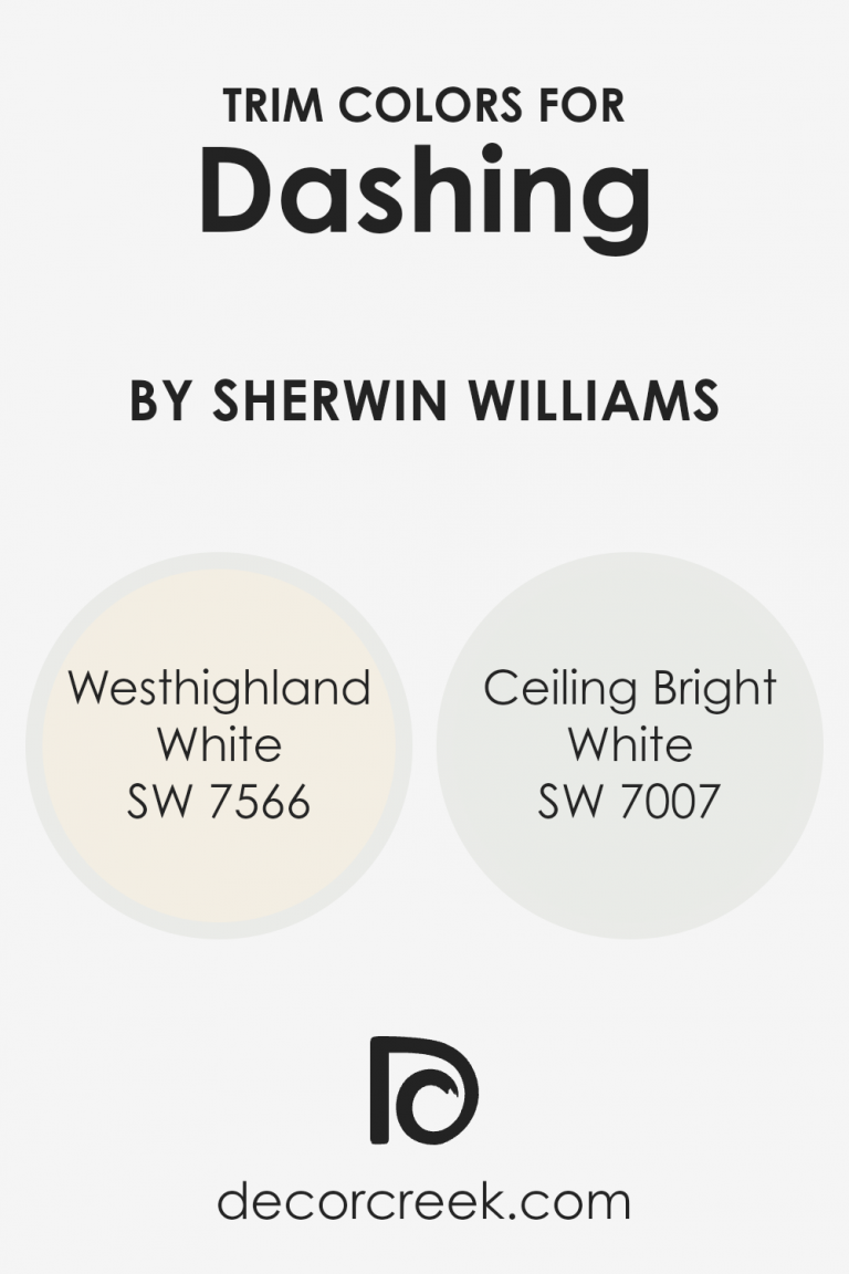 Dashing SW 9544 Paint Color by Sherwin Williams - DecorCreek