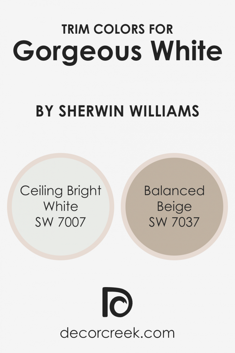 Gorgeous White SW 6049 Paint Color by Sherwin Williams - DecorCreek