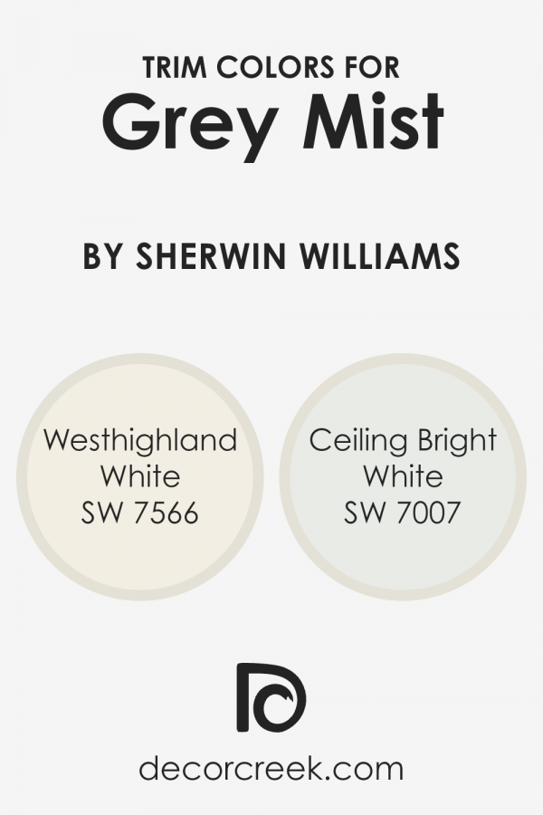 Grey Mist SW 9625 Paint Color by Sherwin Williams - DecorCreek