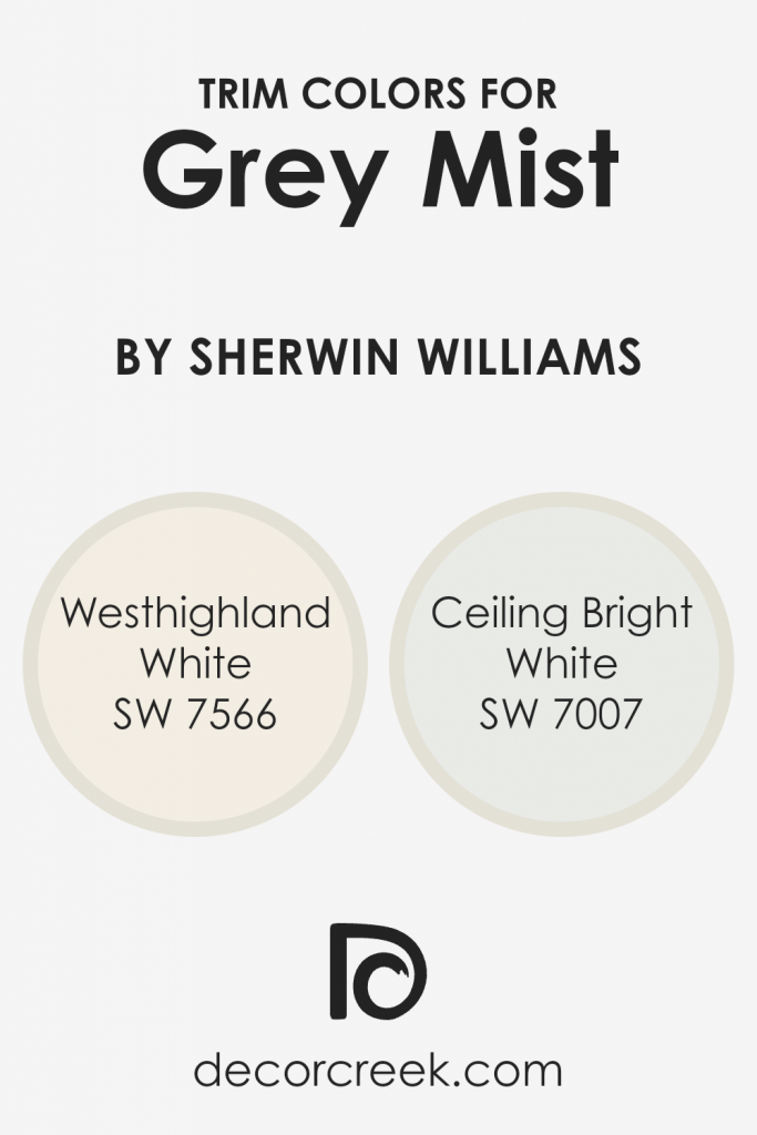 Grey Mist SW 9625 Paint Color by Sherwin Williams - DecorCreek