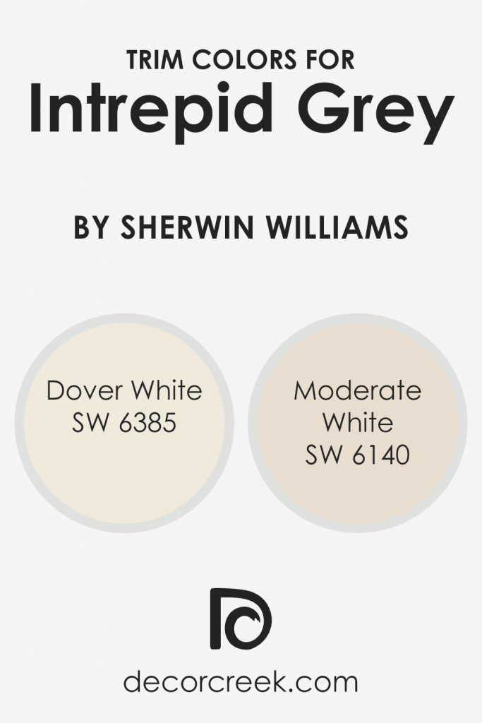 Intrepid Grey SW 9556 Paint Color by Sherwin Williams - DecorCreek