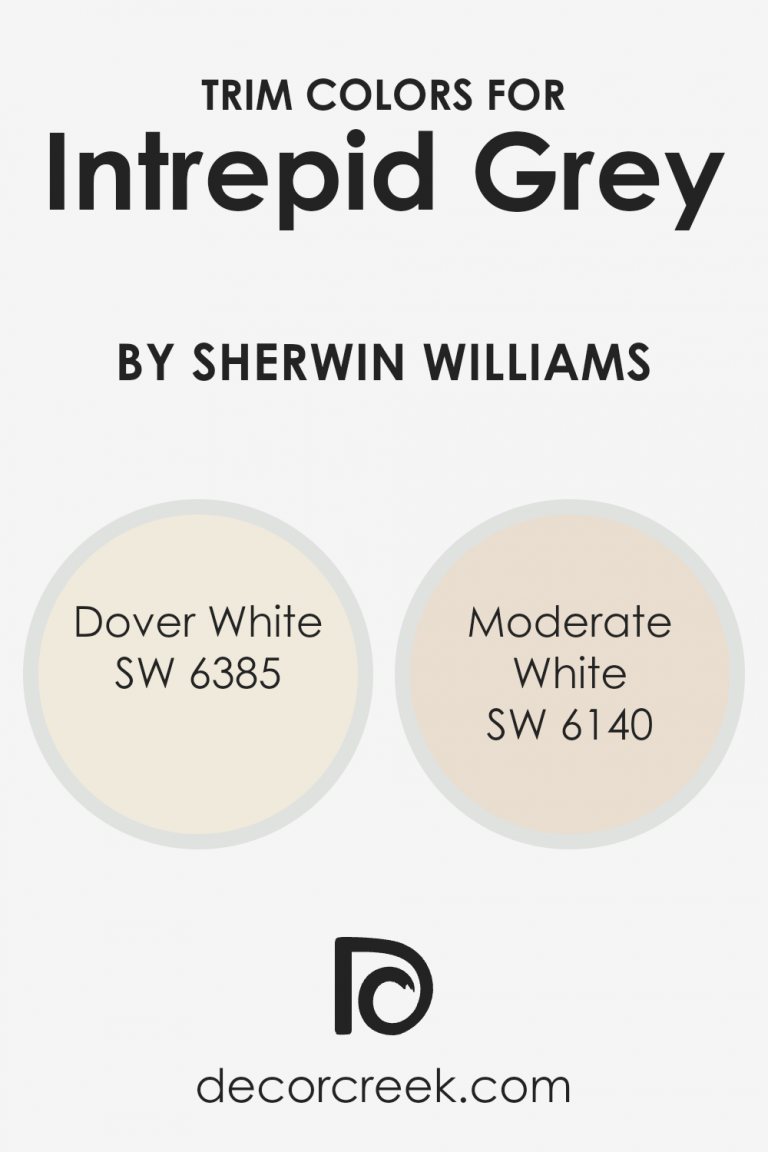 Intrepid Grey SW 9556 Paint Color by Sherwin Williams - DecorCreek