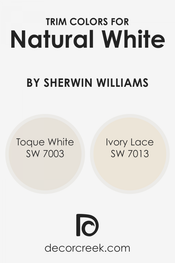 Natural White SW 9542 Paint Color by Sherwin Williams - DecorCreek