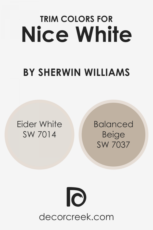 Nice White SW 6063 Paint Color by Sherwin Williams - DecorCreek