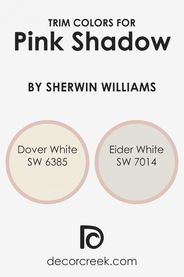 Pink Shadow SW 0070 Paint Color by Sherwin Williams - DecorCreek