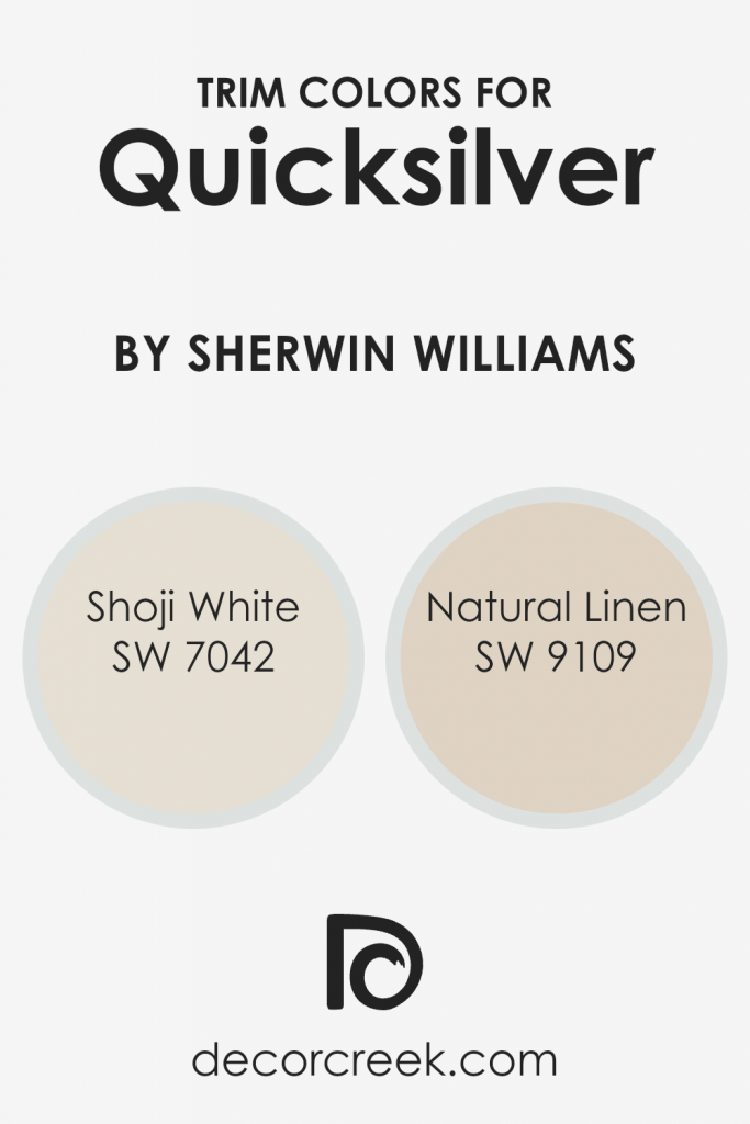 Quicksilver SW 6245 Paint Color by Sherwin Williams - DecorCreek