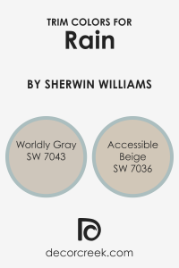 Rain SW 6219 Paint Color by Sherwin Williams - DecorCreek
