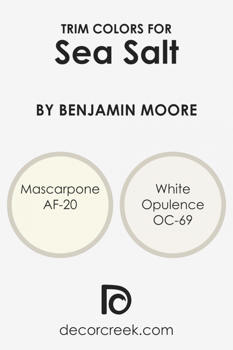Sea Salt CSP-95 Paint Color by Benjamin Moore - DecorCreek