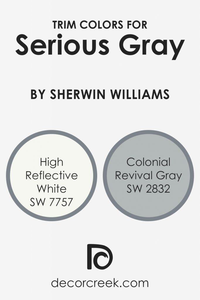 Serious Gray SW 6256 Paint Color by Sherwin Williams - DecorCreek