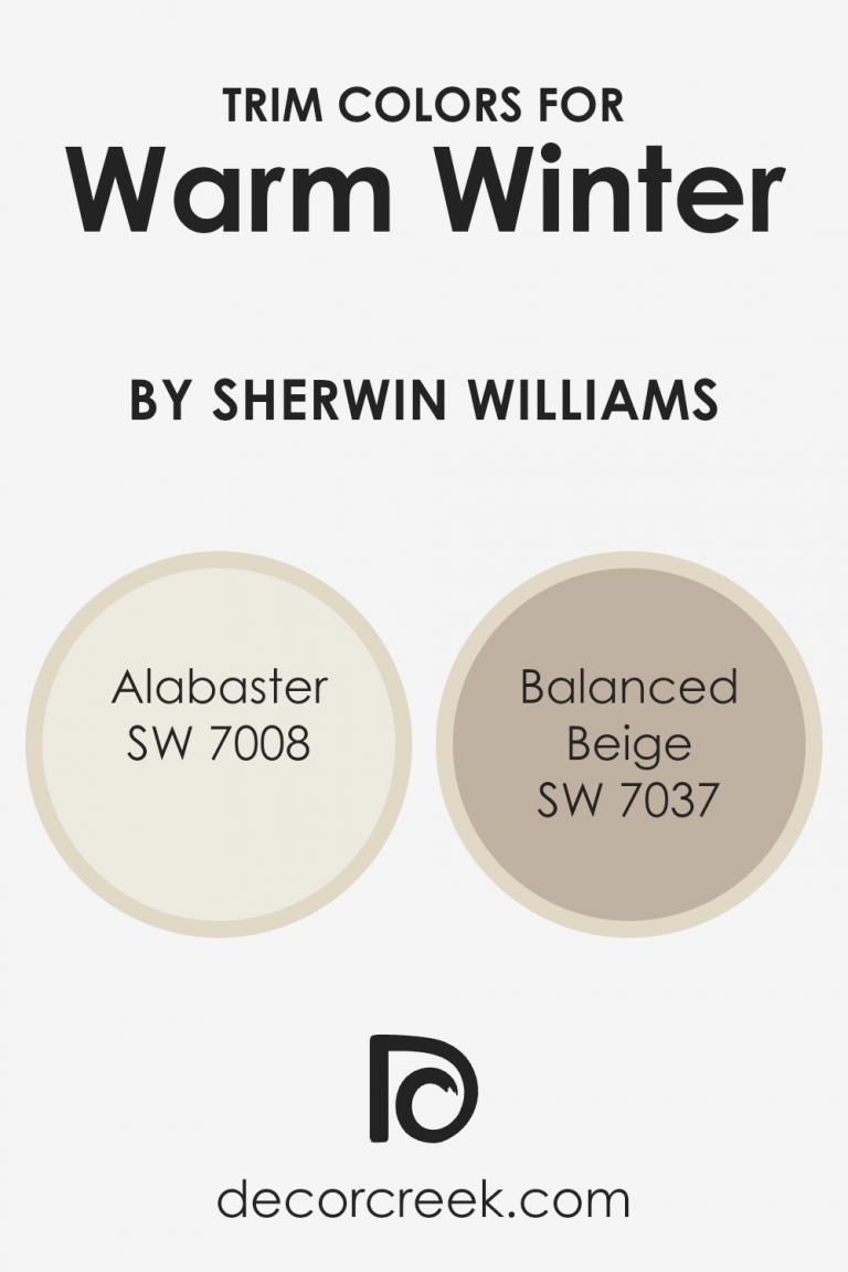 Warm Winter SW 9506 Paint Color by Sherwin Williams - DecorCreek
