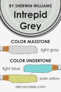 Intrepid Grey SW 9556 Paint Color by Sherwin Williams - DecorCreek
