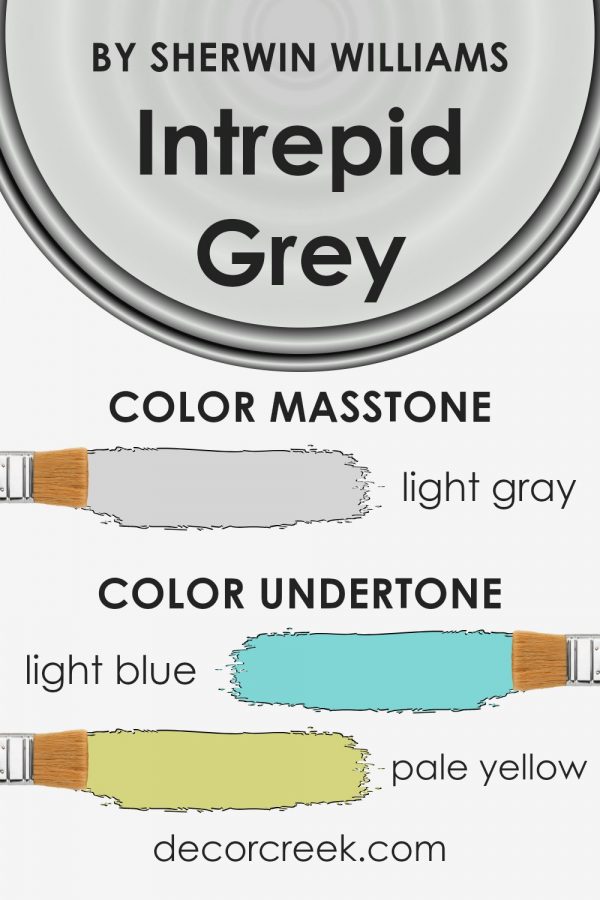 Intrepid Grey SW 9556 Paint Color by Sherwin Williams - DecorCreek