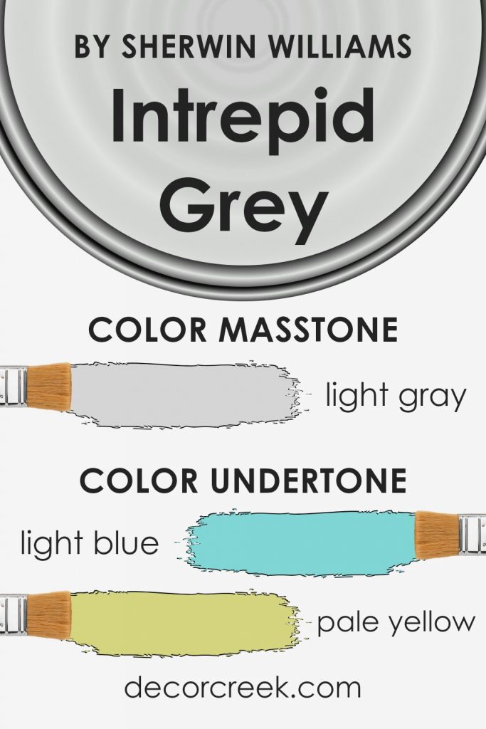 Intrepid Grey SW 9556 Paint Color by Sherwin Williams - DecorCreek