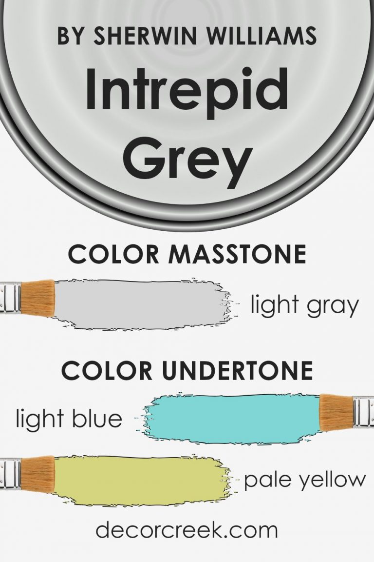 Intrepid Grey SW 9556 Paint Color by Sherwin Williams - DecorCreek