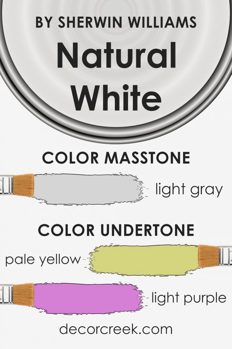 Natural White SW 9542 Paint Color by Sherwin Williams - DecorCreek
