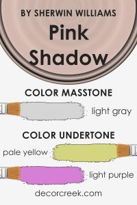 Pink Shadow SW 0070 Paint Color by Sherwin Williams - DecorCreek