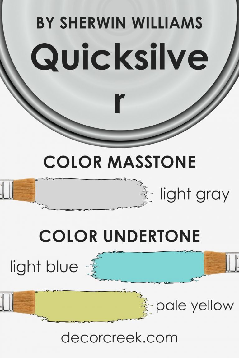Quicksilver SW 6245 Paint Color by Sherwin Williams - DecorCreek